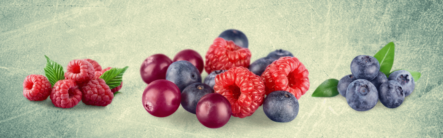 Berry Nation USA — America’s Home for Wild & Native Berries